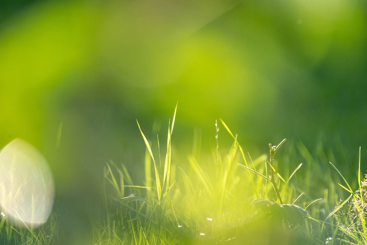 Padang Wallpapers - Top Free Padang Backgrounds - WallpaperAccess