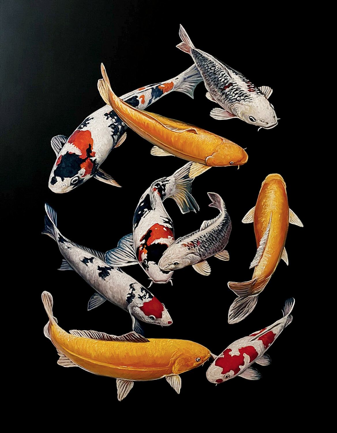 Carp Fish Wallpapers - Top Free Carp Fish Backgrounds - WallpaperAccess