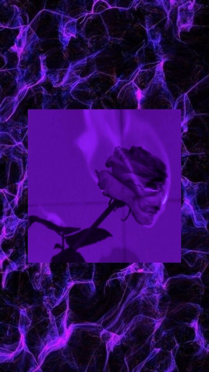 Rose On Fire Wallpapers - Top Free Rose On Fire Backgrounds ...