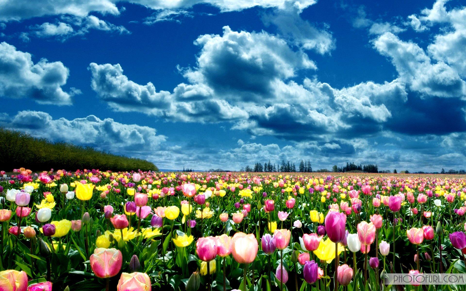 Italy Laptop Wallpapers - Top Free Italy Laptop Backgrounds ...