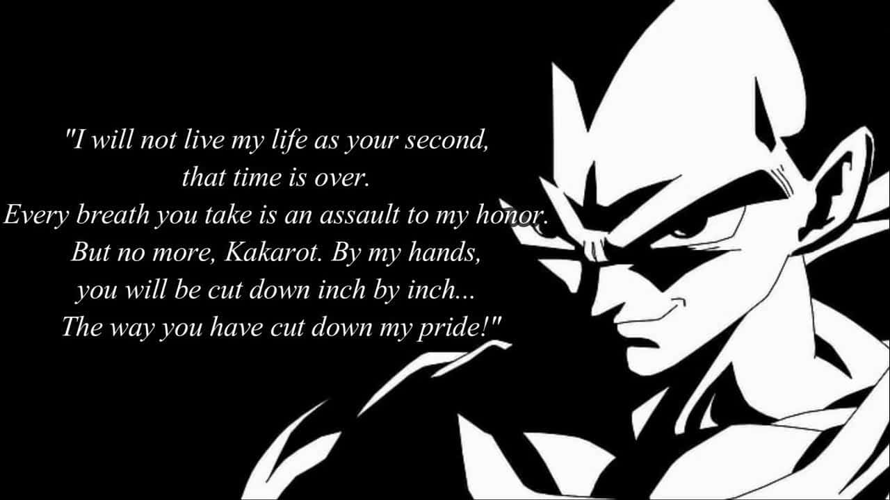 Vegeta Pride Wallpapers - Top Free Vegeta Pride Backgrounds ...