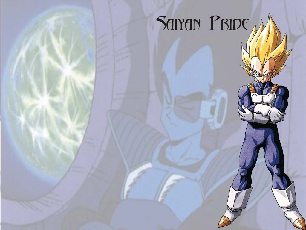 Vegeta Pride Wallpapers - Top Free Vegeta Pride Backgrounds ...