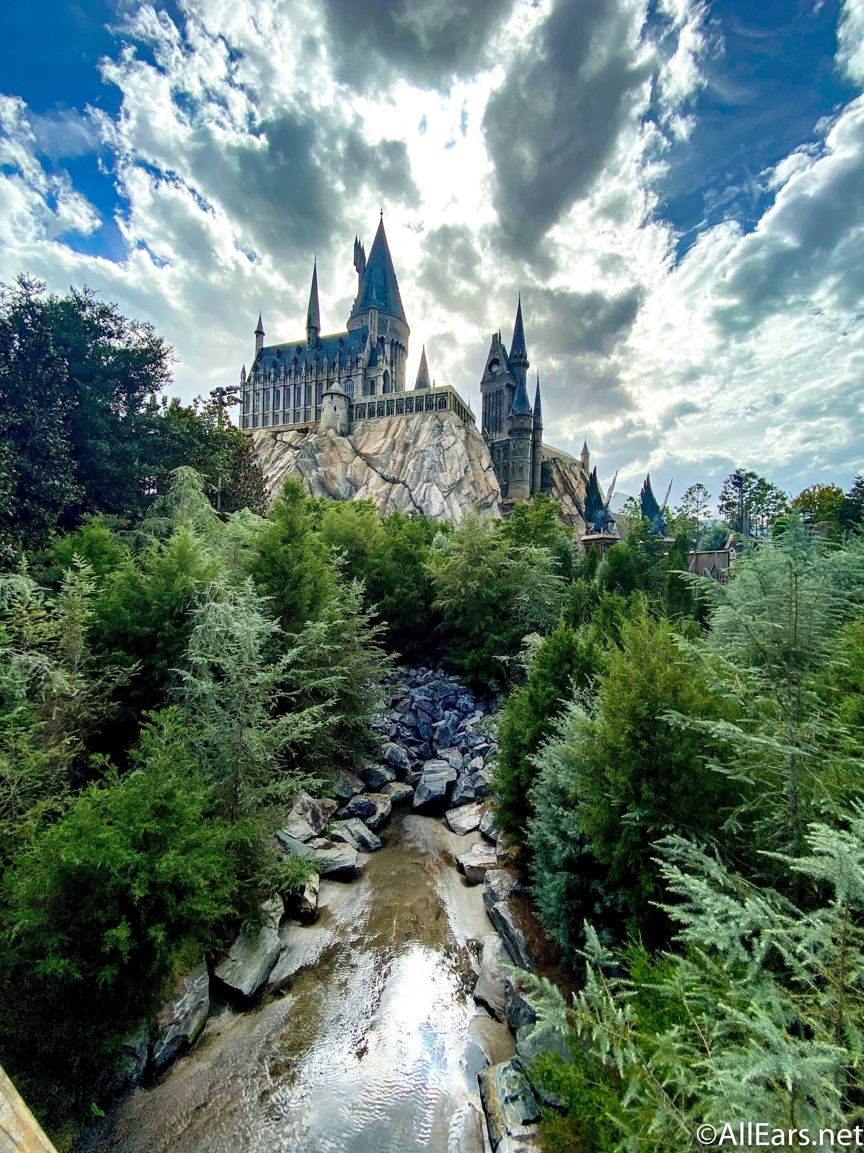 Harry Potter Portrait Wallpapers - Top Free Harry Potter Portrait ...