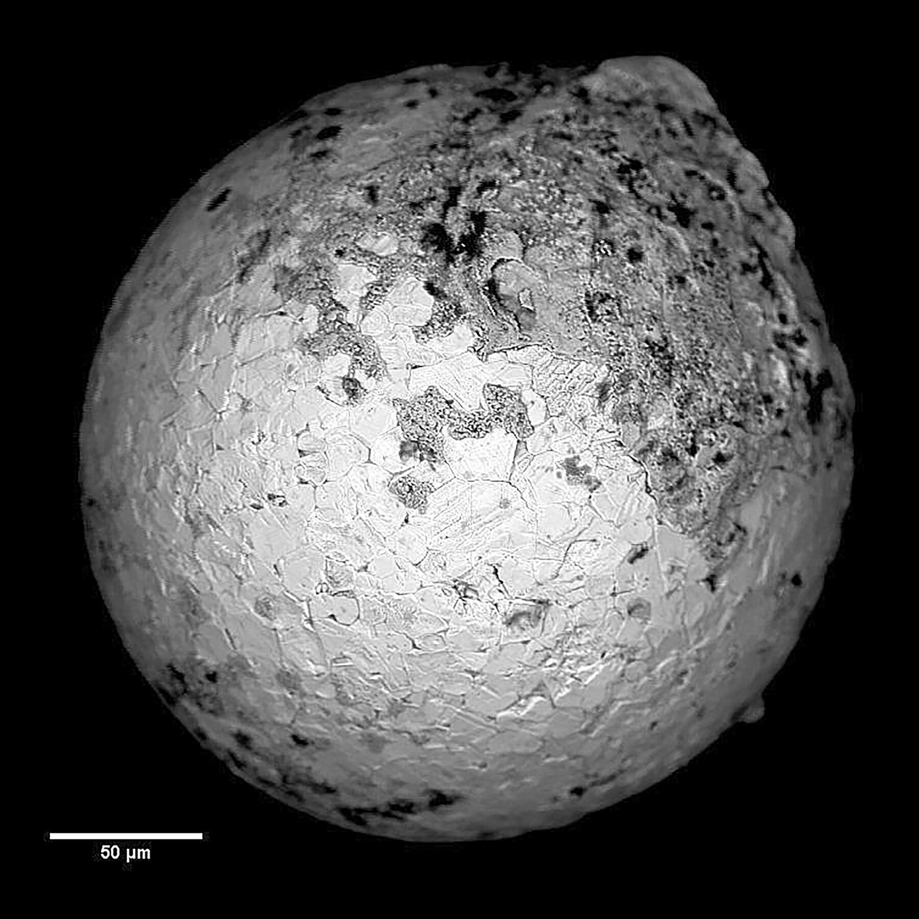 Grey Alien Wallpapers - Top Free Grey Alien Backgrounds - WallpaperAccess