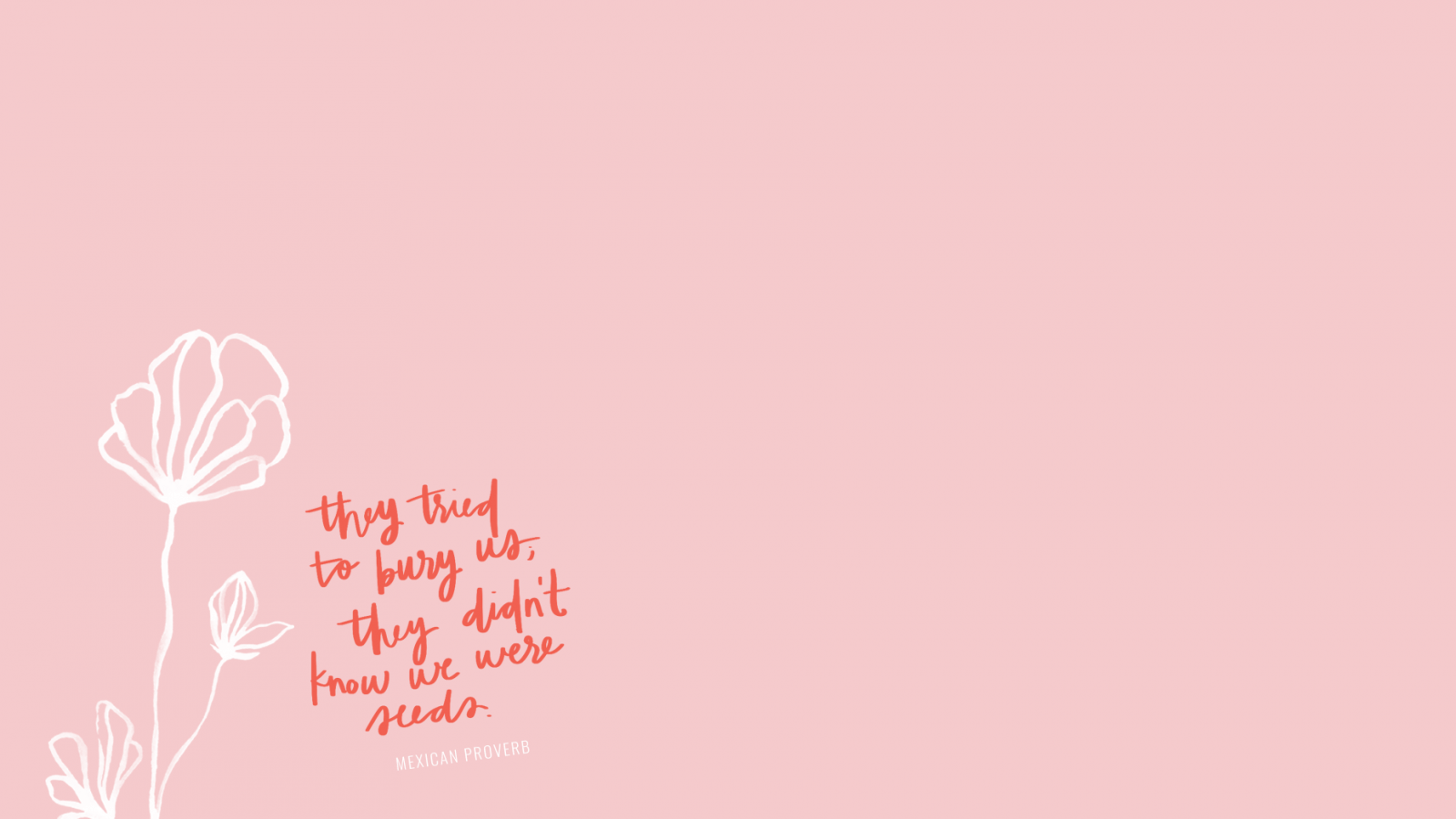 Tpwk Wallpapers - Top Free Tpwk Backgrounds - WallpaperAccess