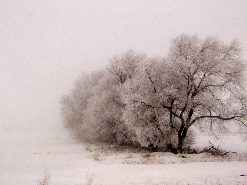 In The Bleak Midwinter Wallpapers - Top Free In The Bleak Midwinter ...