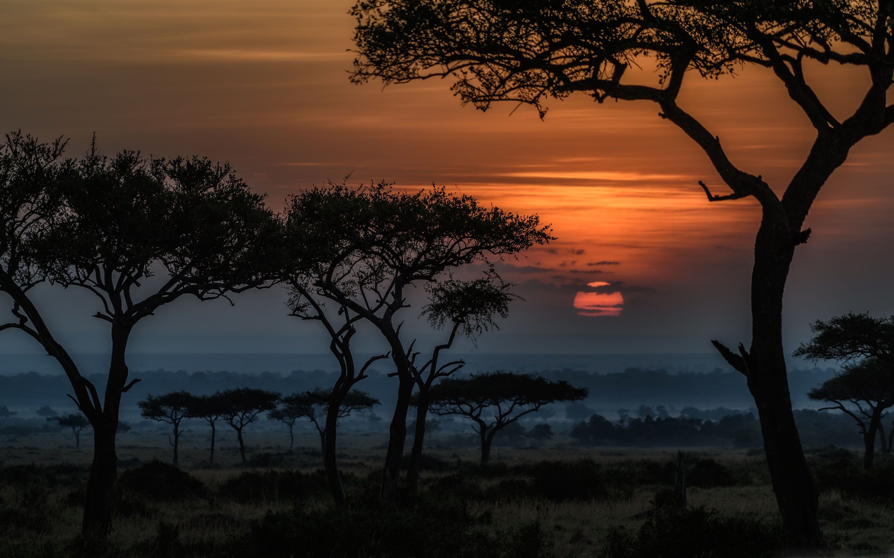 Masai Mara Wallpapers - Top Free Masai Mara Backgrounds - WallpaperAccess