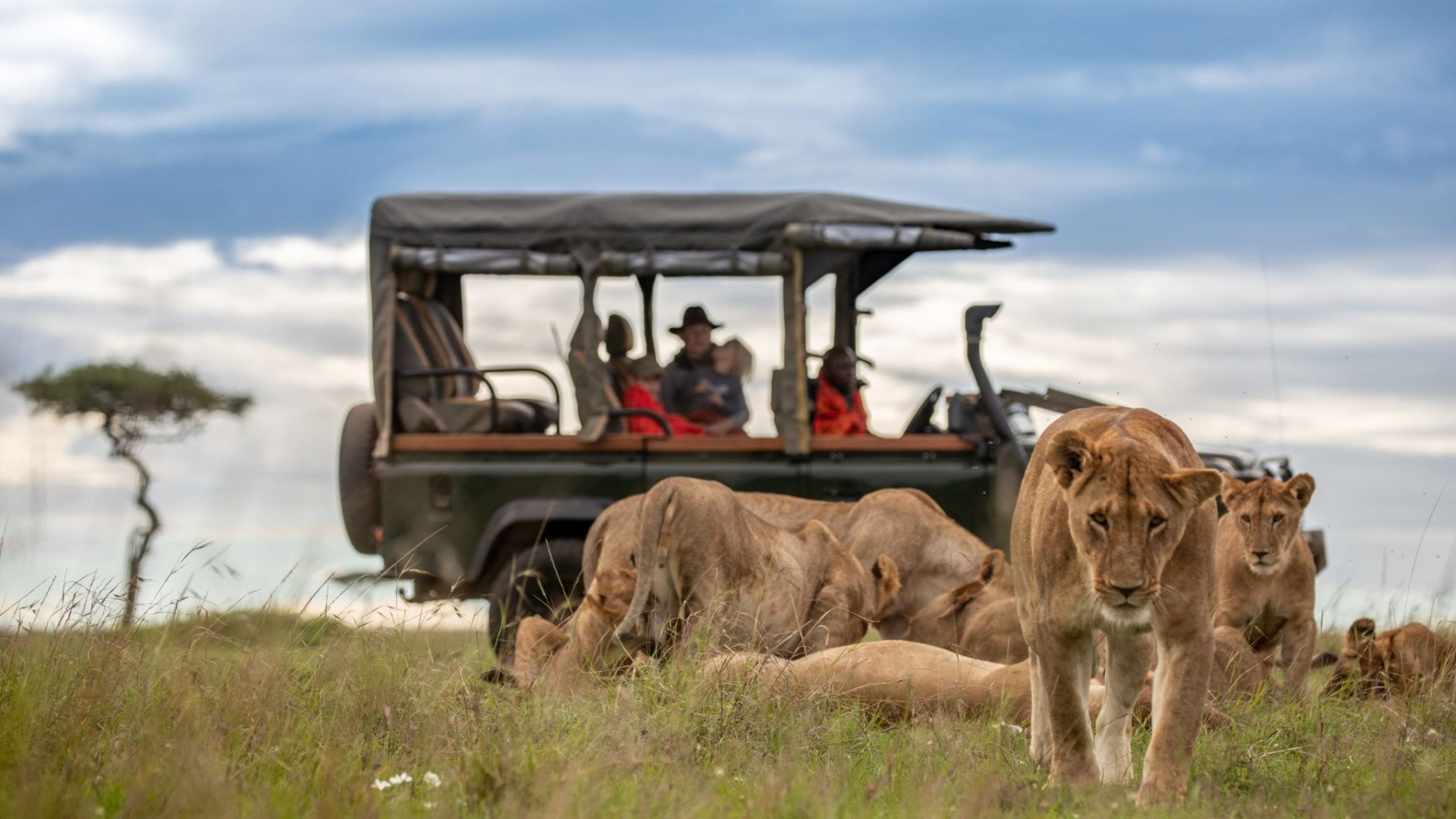 Masai Mara Wallpapers - Top Free Masai Mara Backgrounds - WallpaperAccess