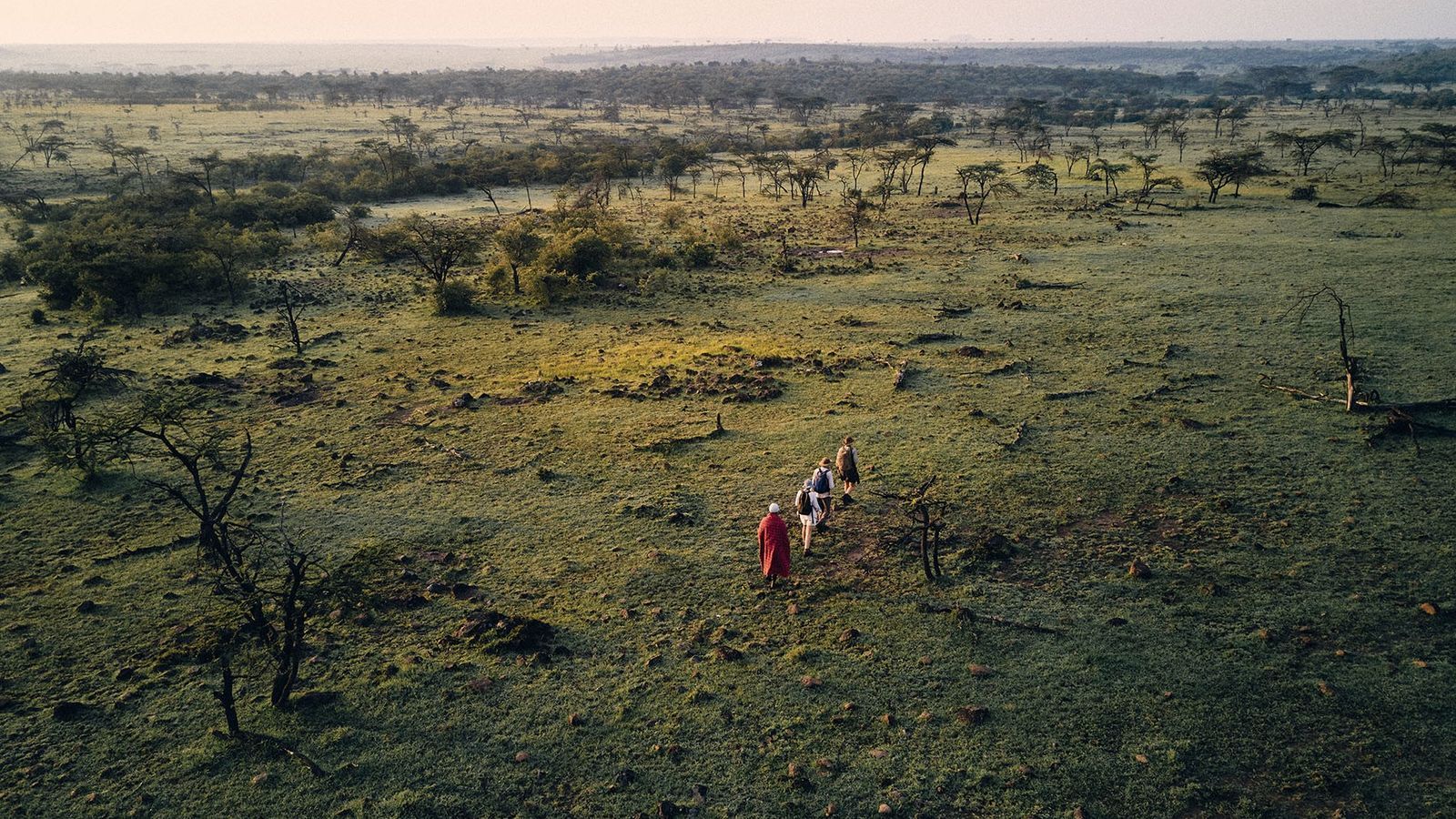 Masai Mara Wallpapers - Top Free Masai Mara Backgrounds - WallpaperAccess
