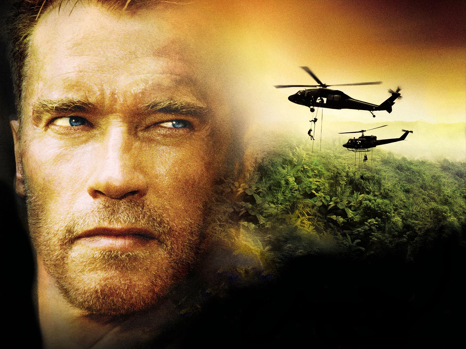 Collateral Wallpapers - Top Free Collateral Backgrounds - WallpaperAccess