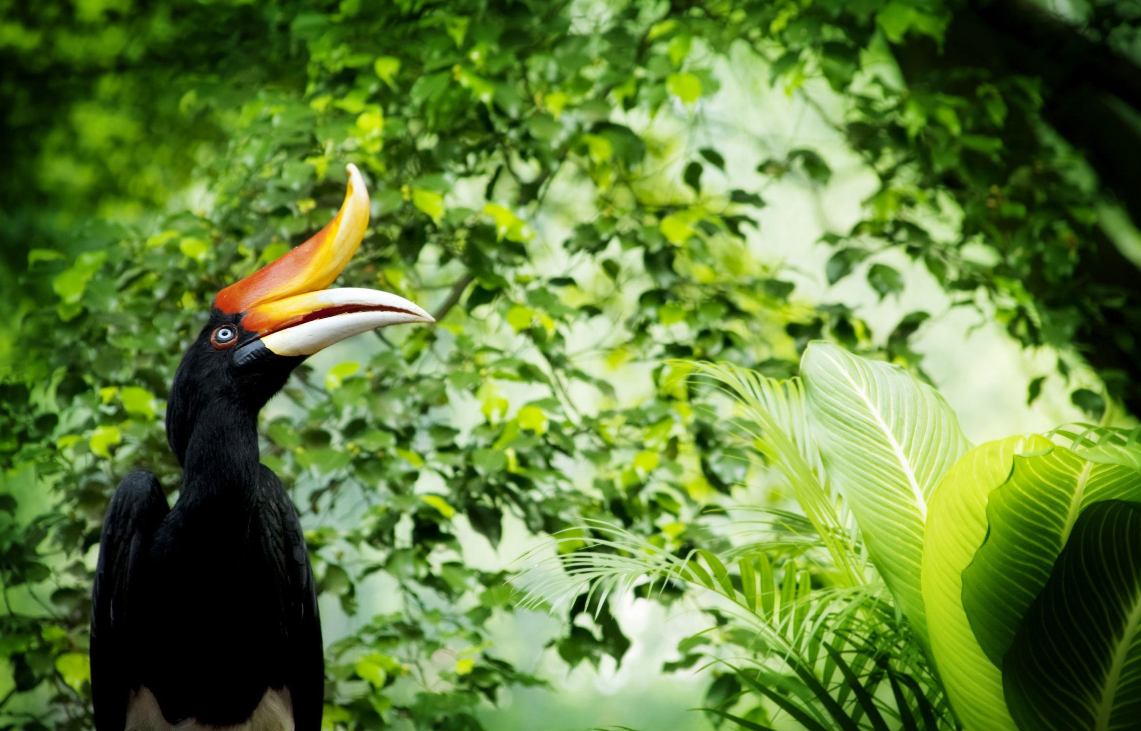 Sarawak Wallpapers - Top Free Sarawak Backgrounds - WallpaperAccess