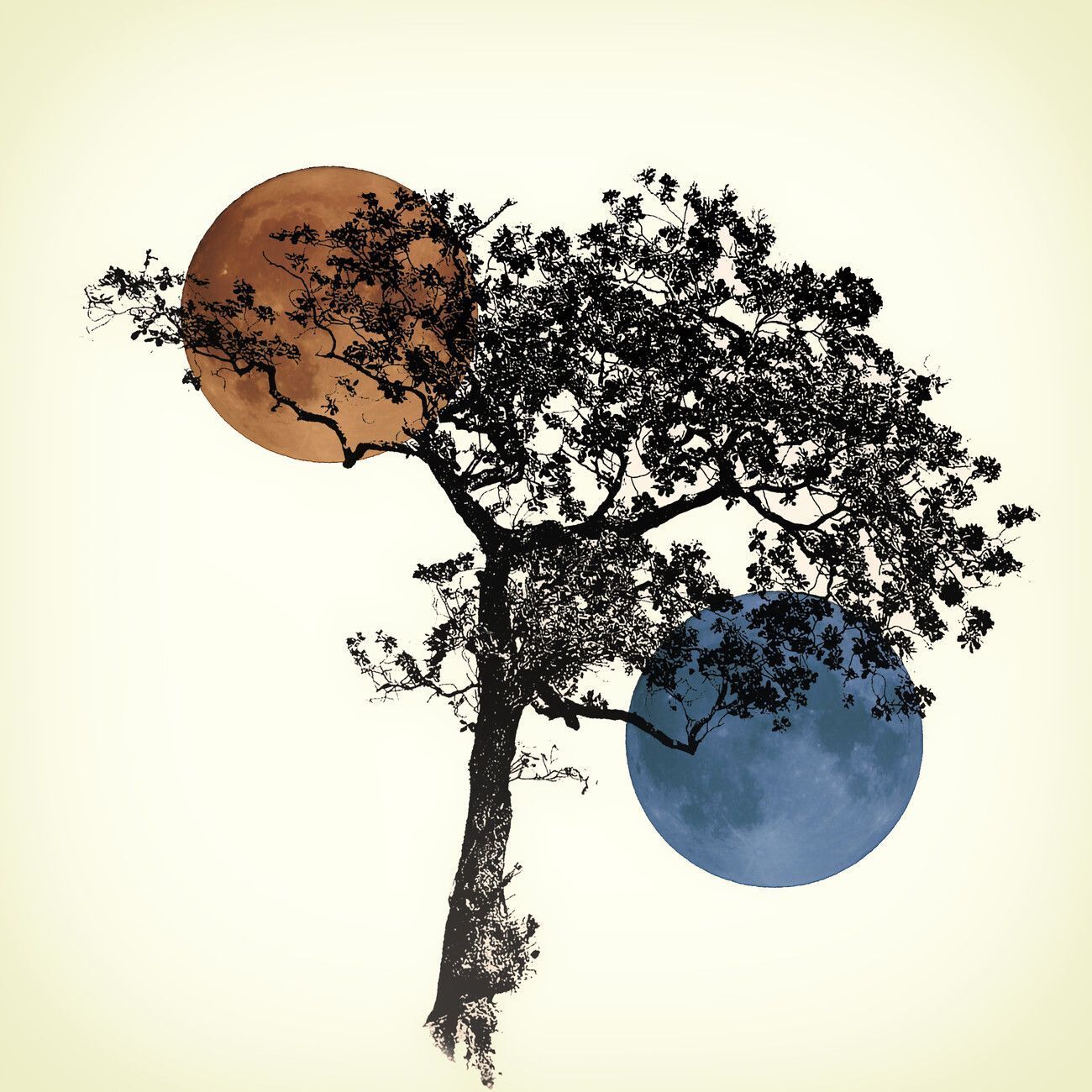 As Above So Below Wallpapers - Top Free As Above So Below Backgrounds ...