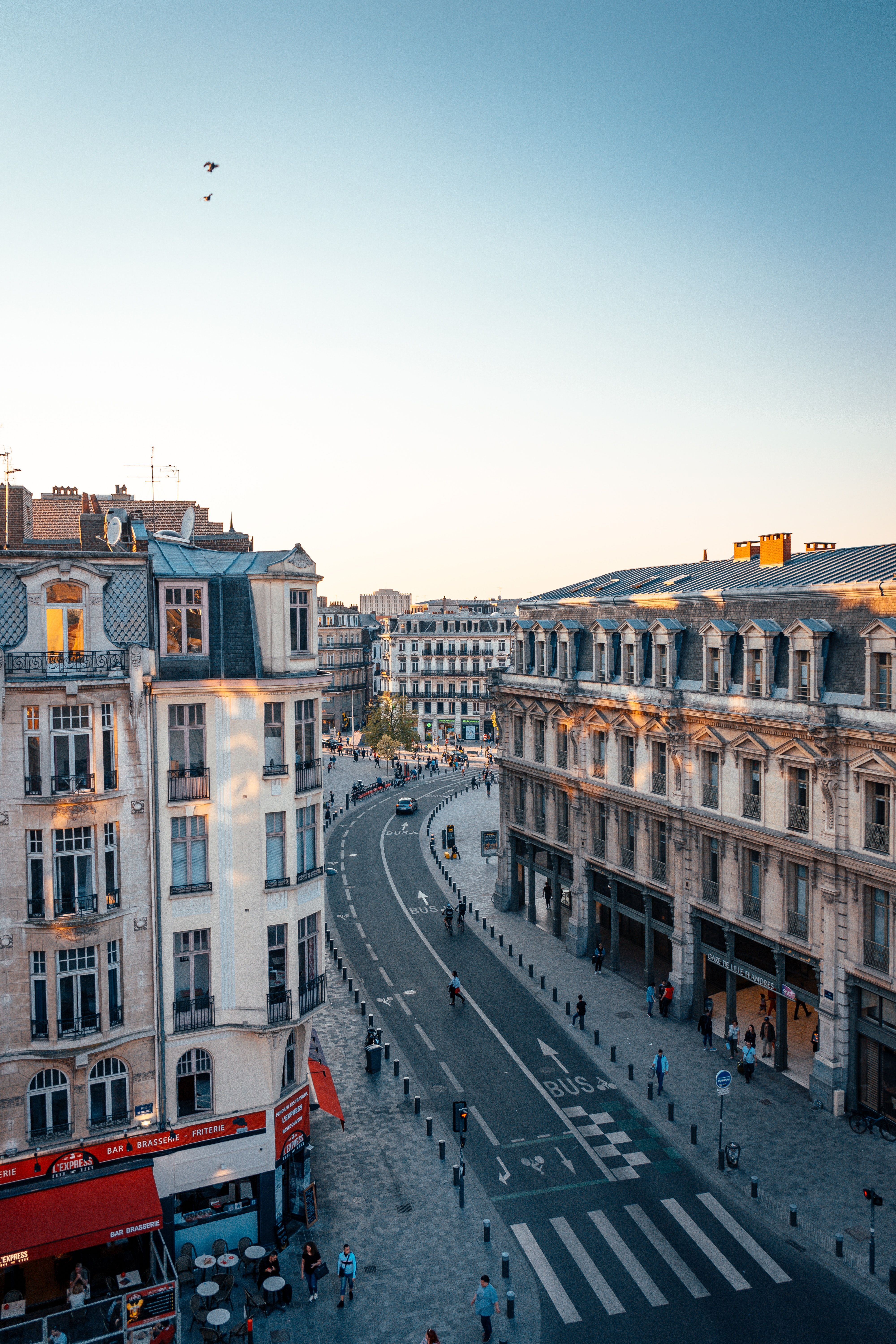 Lille Wallpapers - Top Free Lille Backgrounds - WallpaperAccess