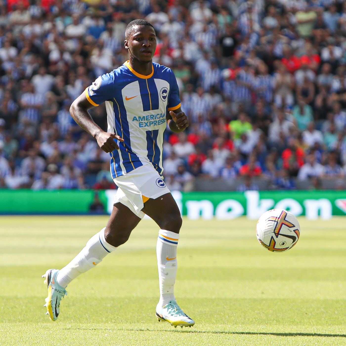 Moises Caicedo Wallpapers - Top Free Moises Caicedo Backgrounds ...