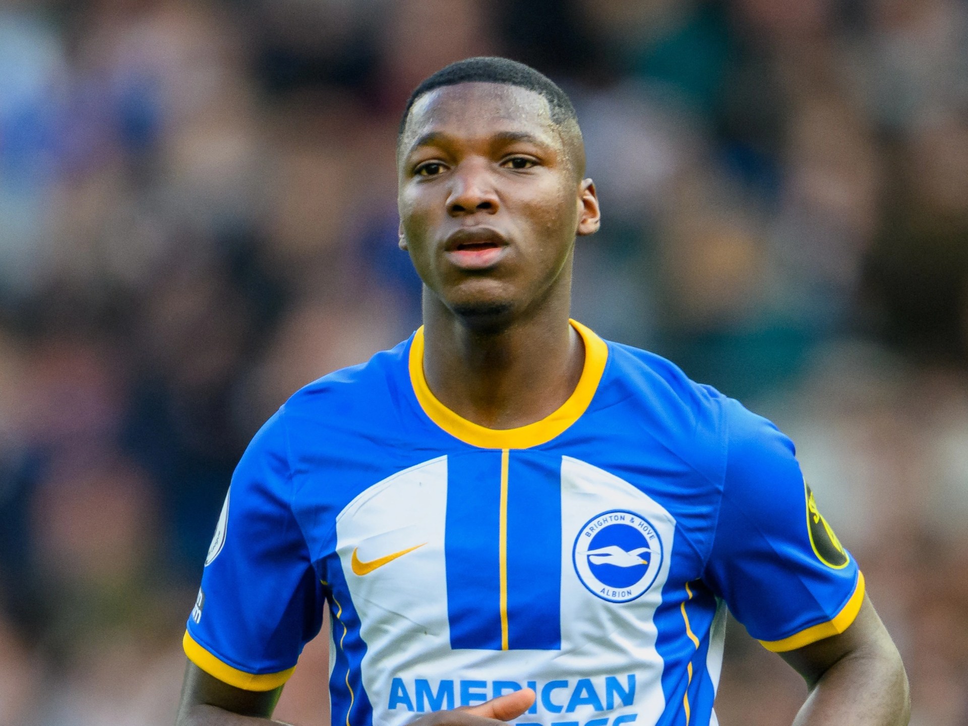 Moises Caicedo Wallpapers - Top Free Moises Caicedo Backgrounds ...