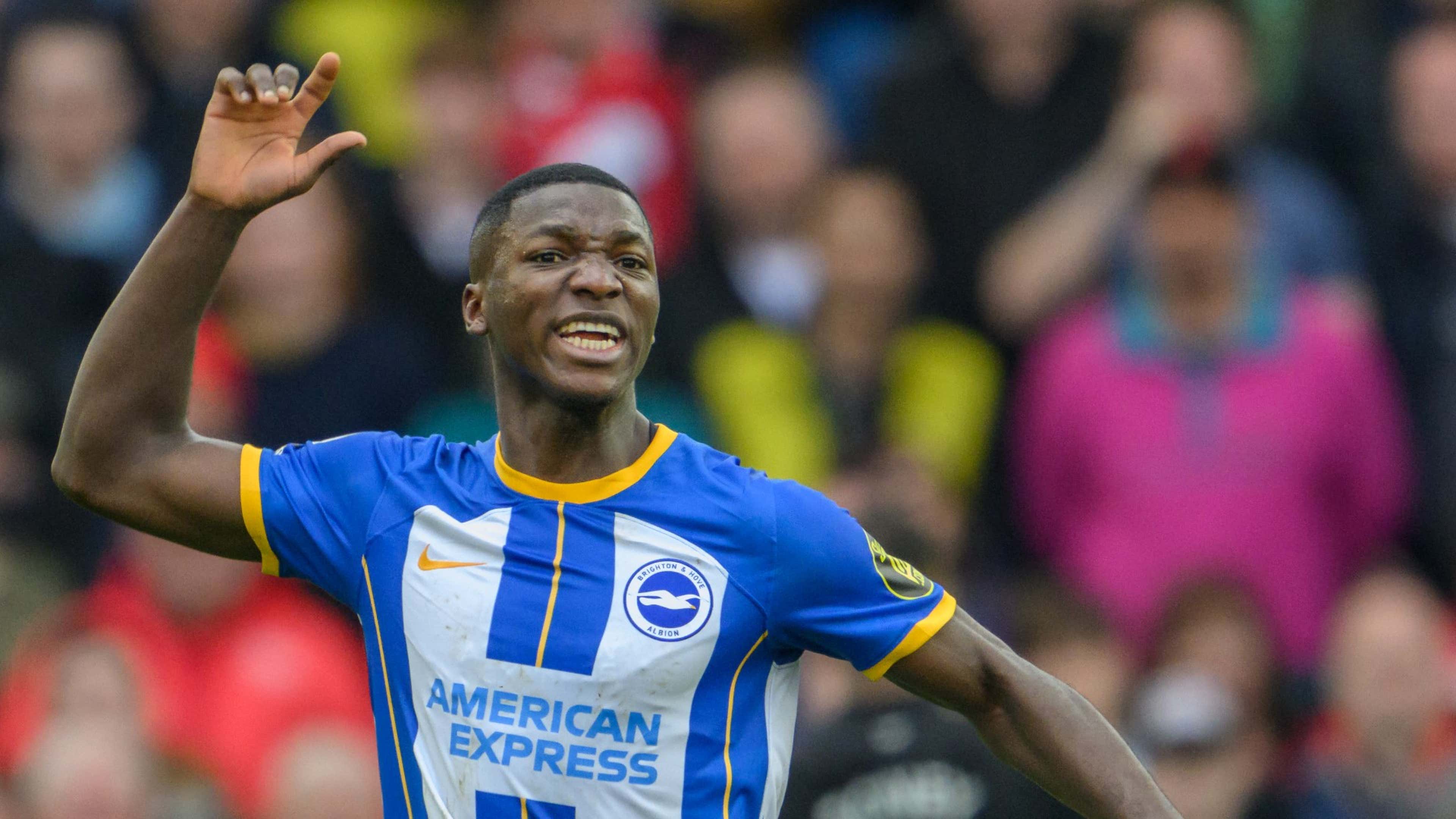 Moises Caicedo Wallpapers - Top Free Moises Caicedo Backgrounds ...