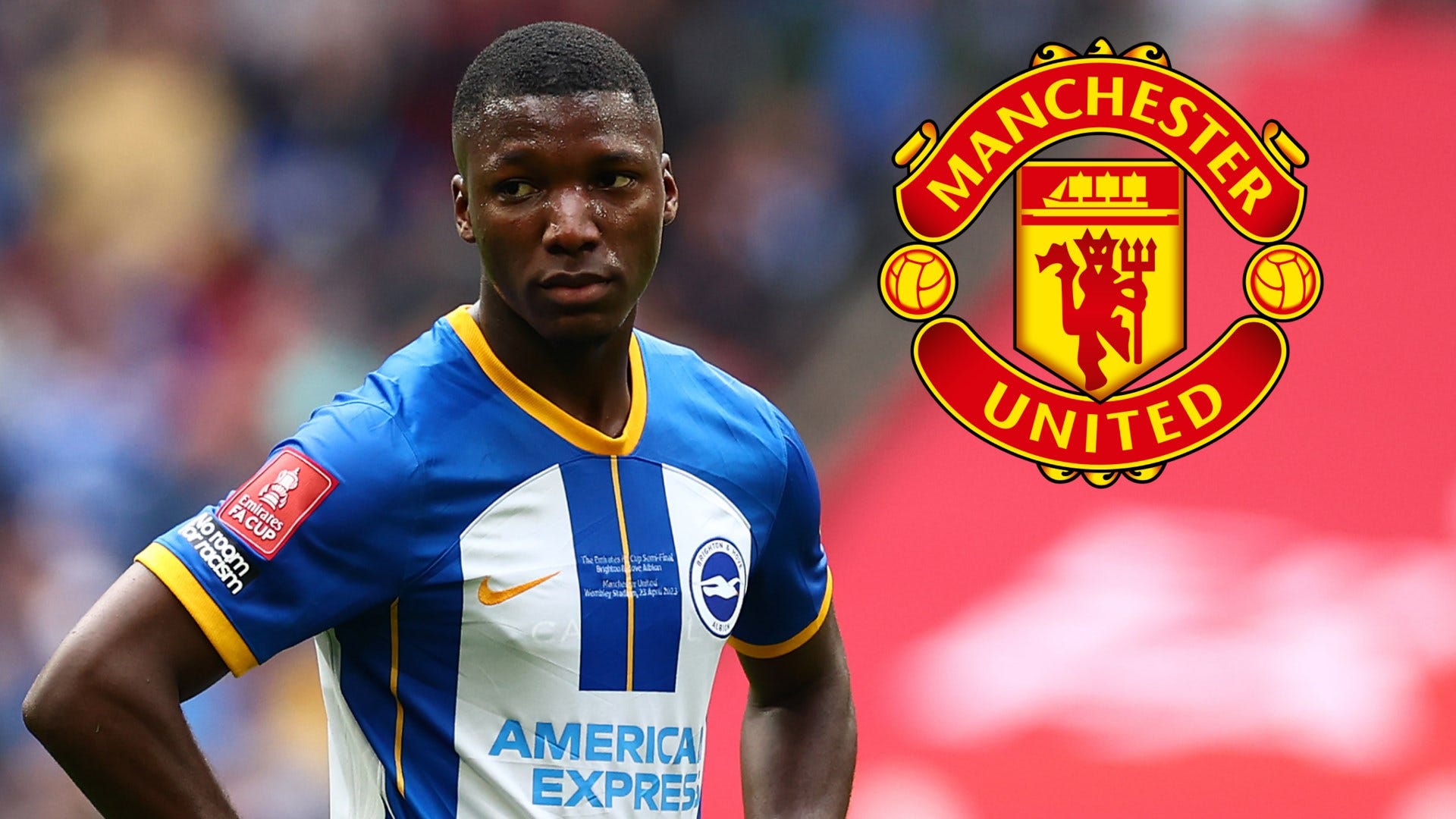 Moises Caicedo Wallpapers - Top Free Moises Caicedo Backgrounds ...