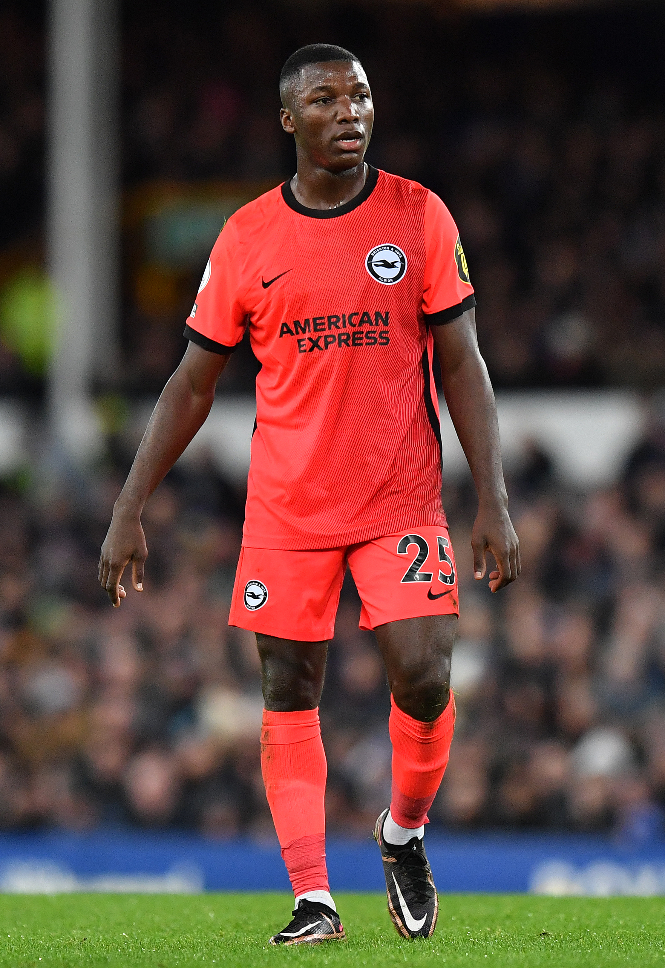 Moises Caicedo Wallpapers - Top Free Moises Caicedo Backgrounds ...