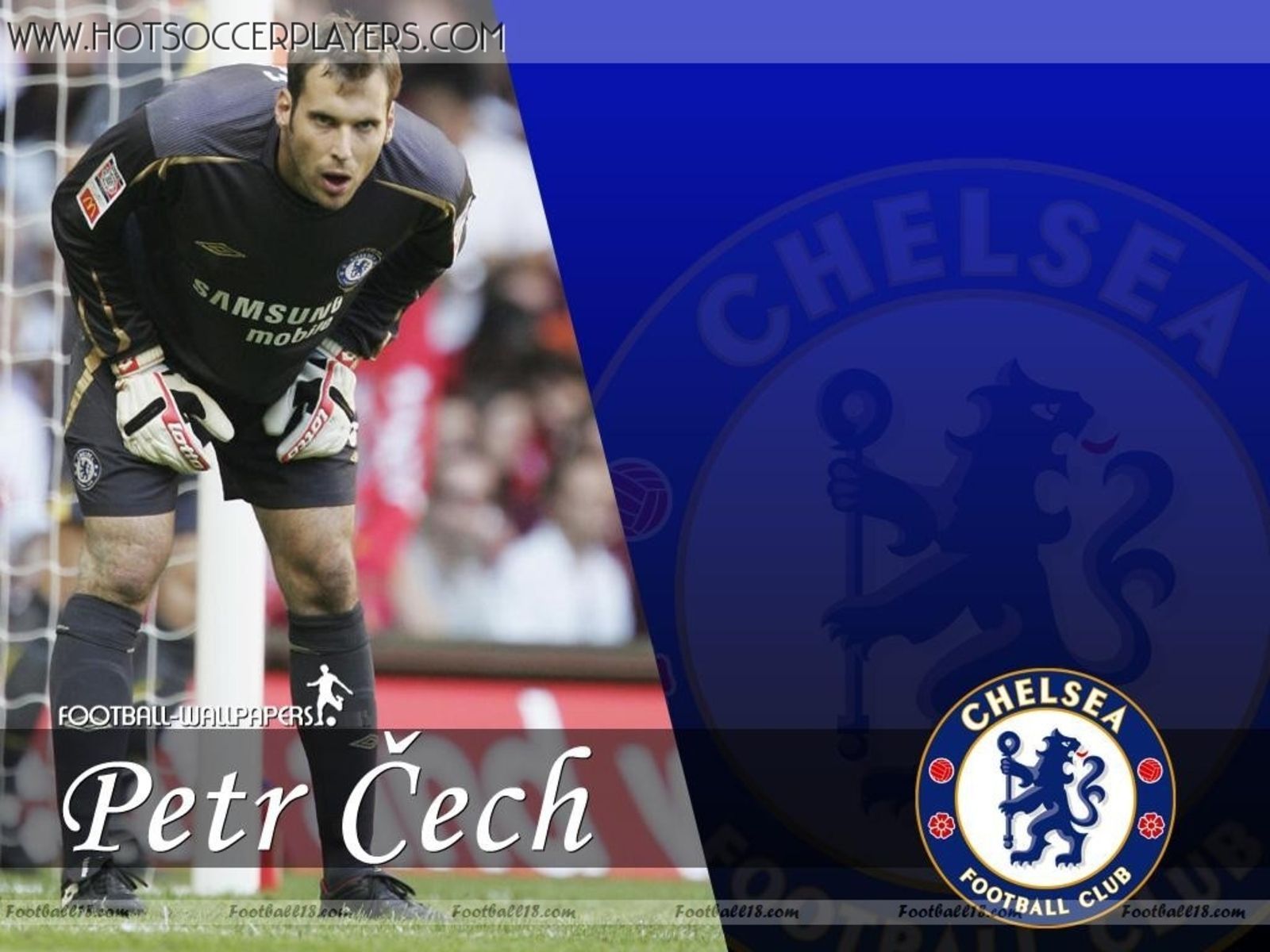 Petr Cech Wallpapers - Top Free Petr Cech Backgrounds - WallpaperAccess