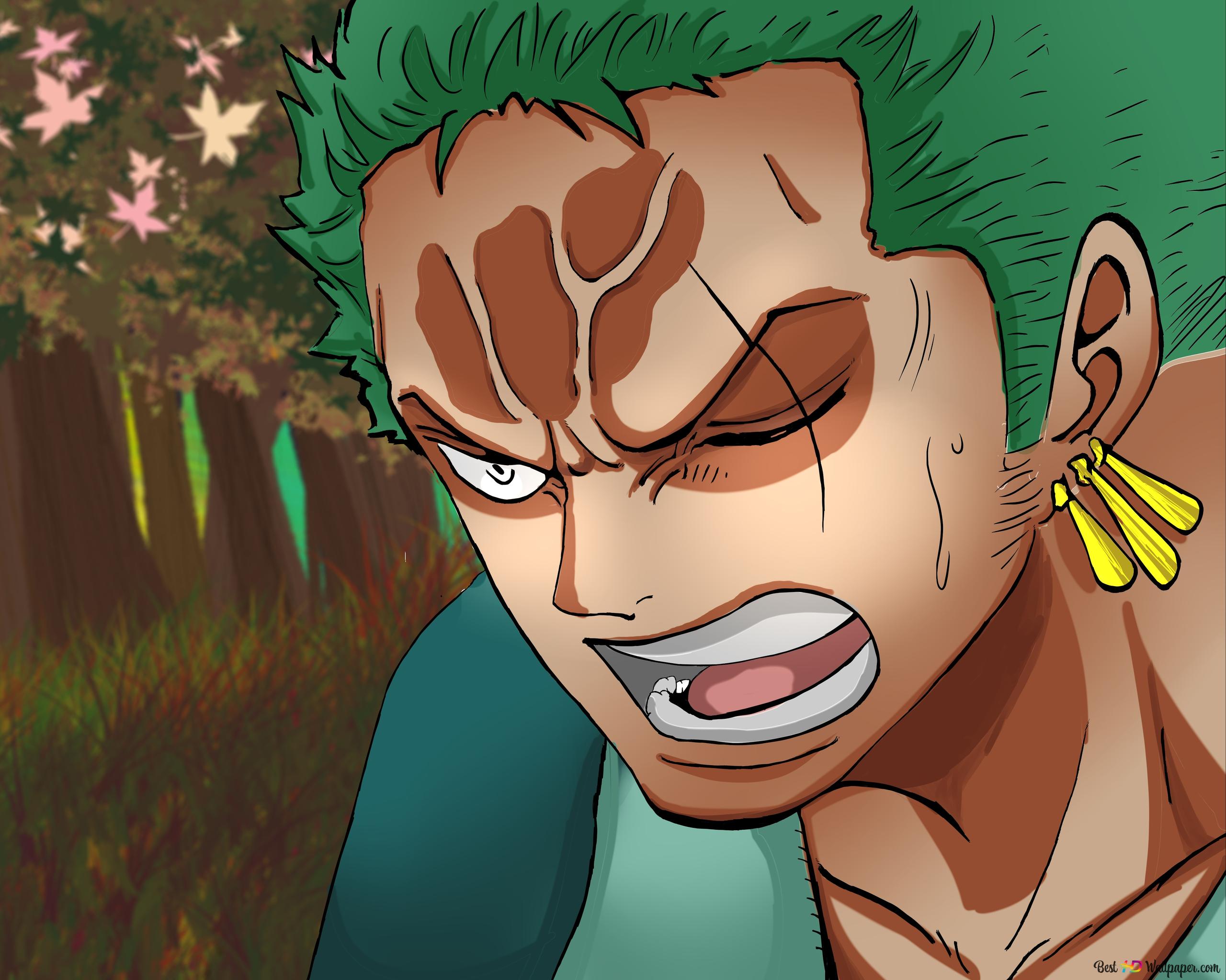 Zoro Face Wallpapers - Top Free Zoro Face Backgrounds - WallpaperAccess