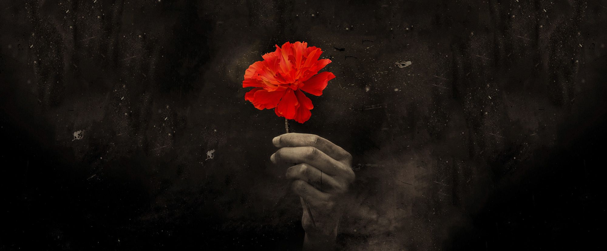 Hadestown Wallpapers - Top Free Hadestown Backgrounds - WallpaperAccess