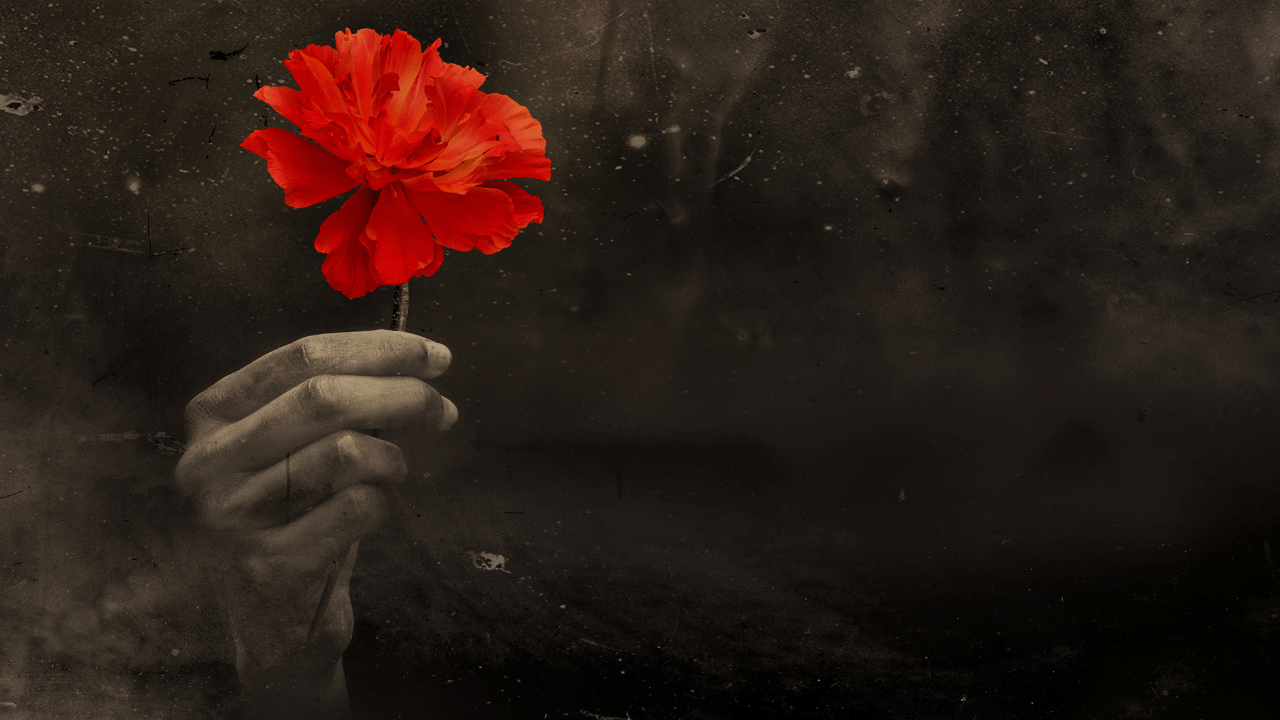 Hadestown Wallpapers - Top Free Hadestown Backgrounds - WallpaperAccess