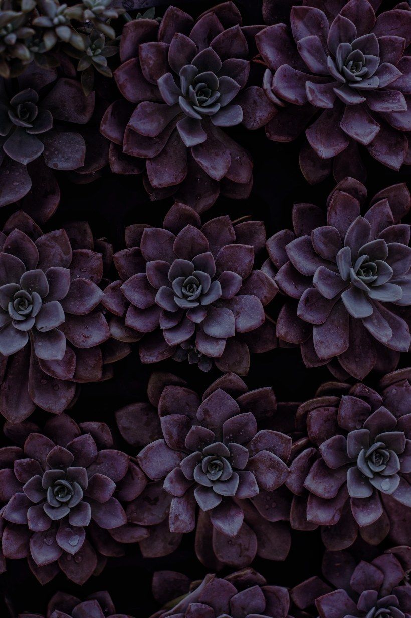 Side Notch Wallpapers - Top Free Side Notch Backgrounds - WallpaperAccess