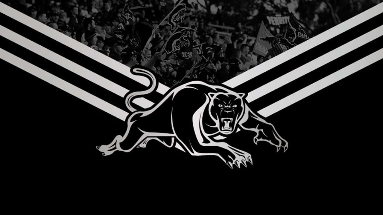 Penrith Panthers Wallpapers - Top Free Penrith Panthers Backgrounds ...