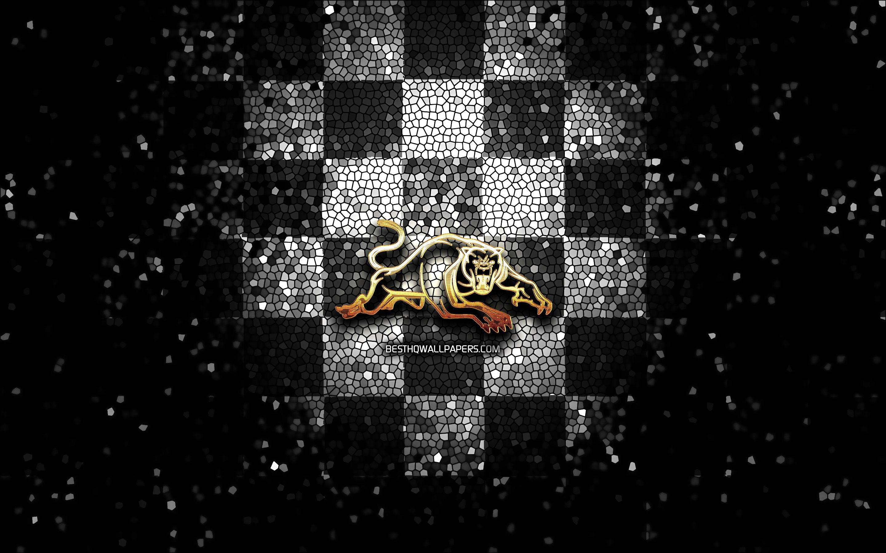 Penrith Panthers Wallpapers - Top Free Penrith Panthers Backgrounds ...