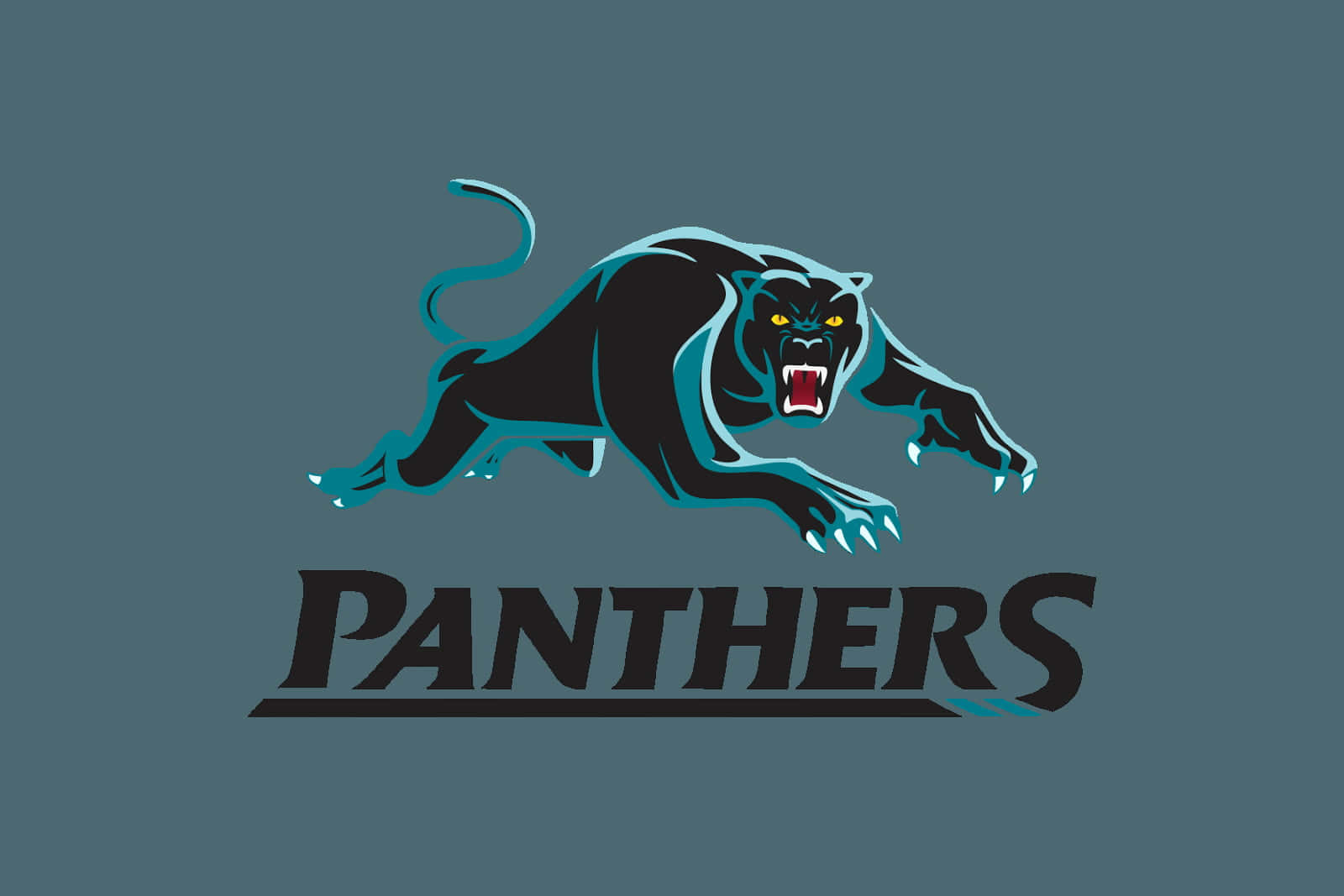 Penrith Panthers Wallpapers - Top Free Penrith Panthers Backgrounds ...