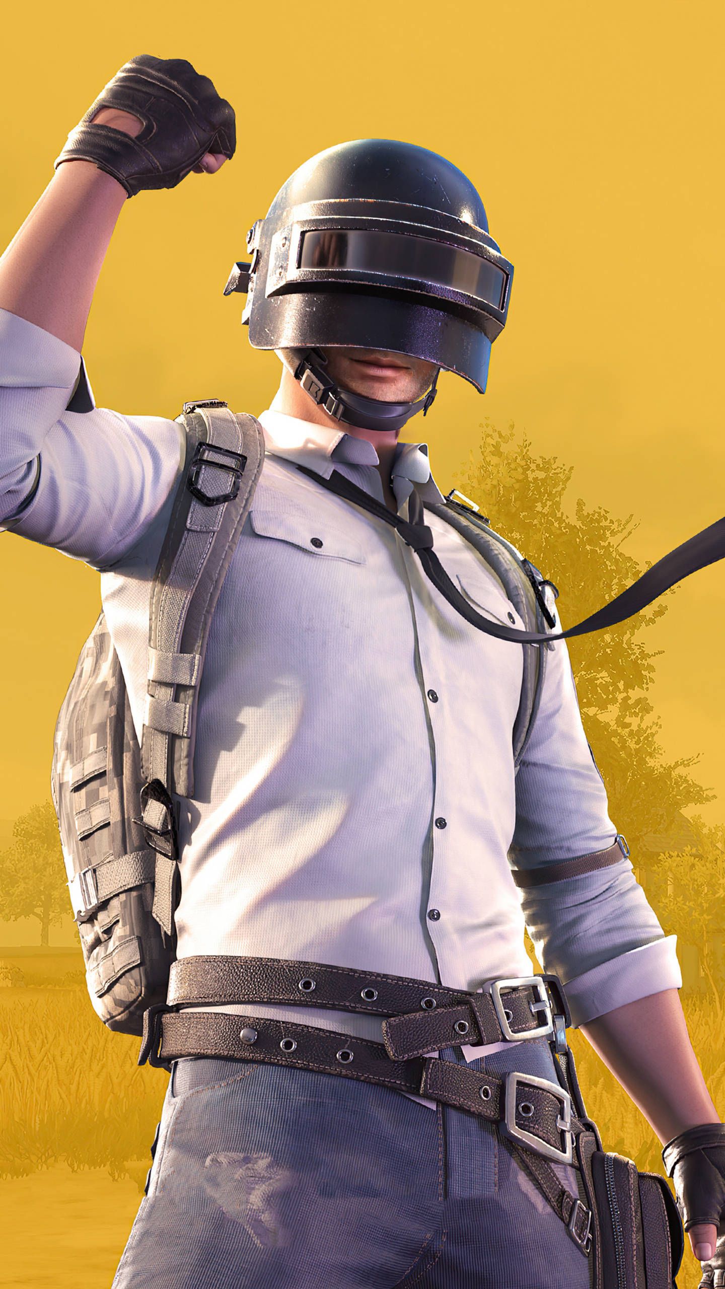 Pubg Victor Wallpapers - Top Free Pubg Victor Backgrounds - WallpaperAccess