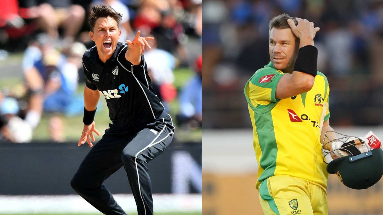 Trent Boult Wallpapers - Top Free Trent Boult Backgrounds - WallpaperAccess