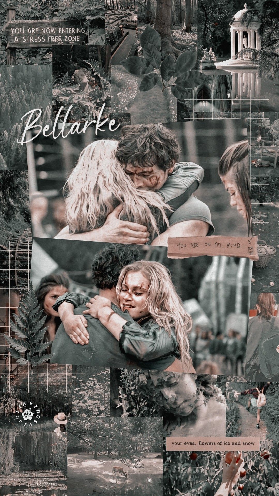 Bellamy Blake Wallpapers - Top Free Bellamy Blake Backgrounds ...