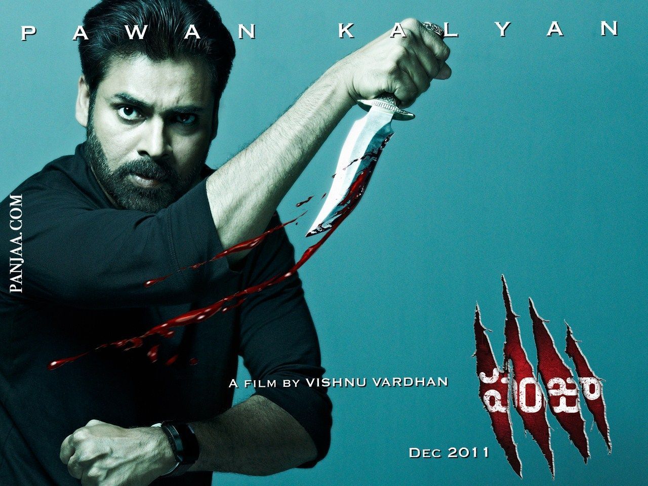 Panja Wallpapers - Top Free Panja Backgrounds - WallpaperAccess