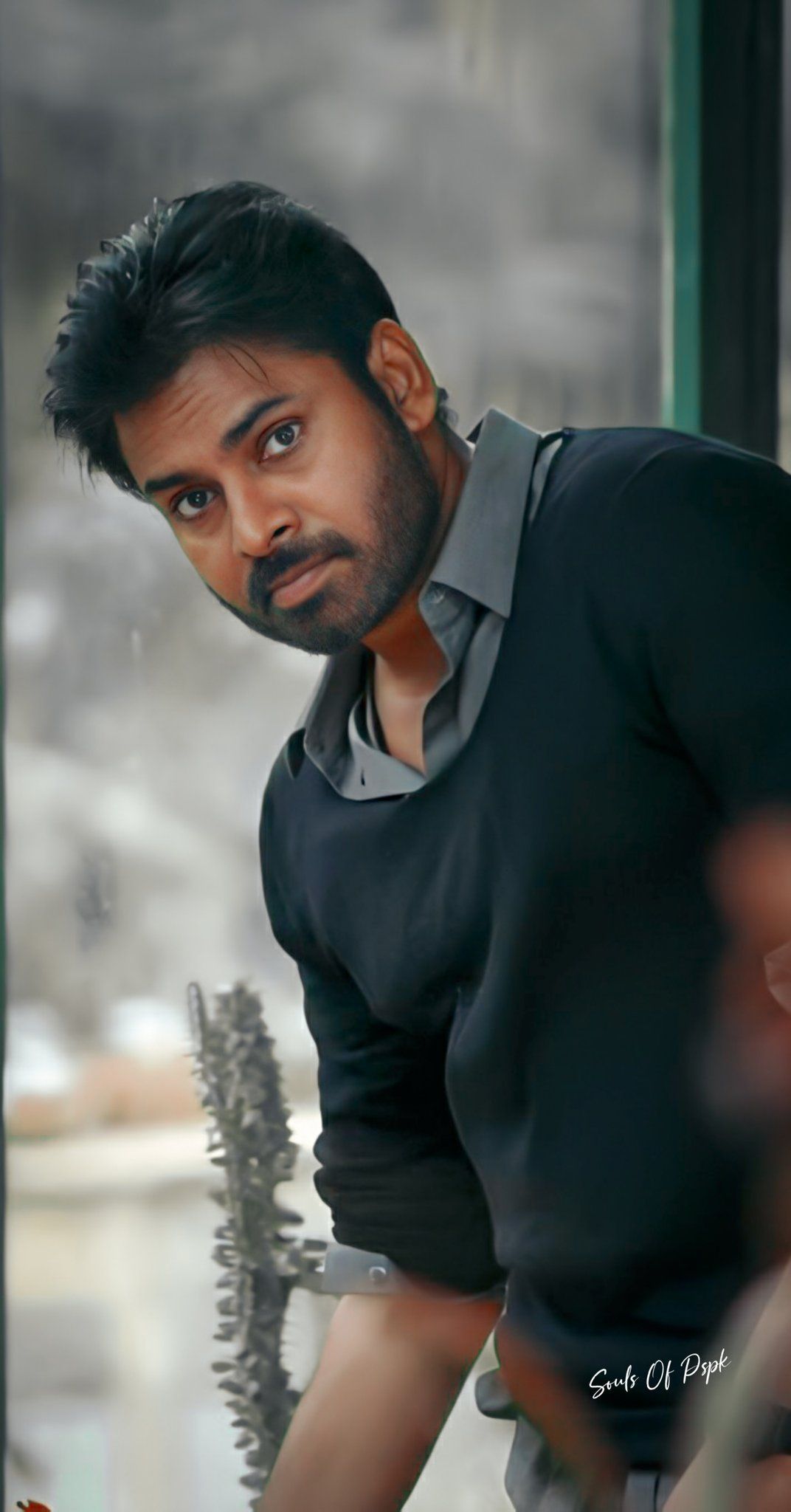 Panja Wallpapers - Top Free Panja Backgrounds - WallpaperAccess