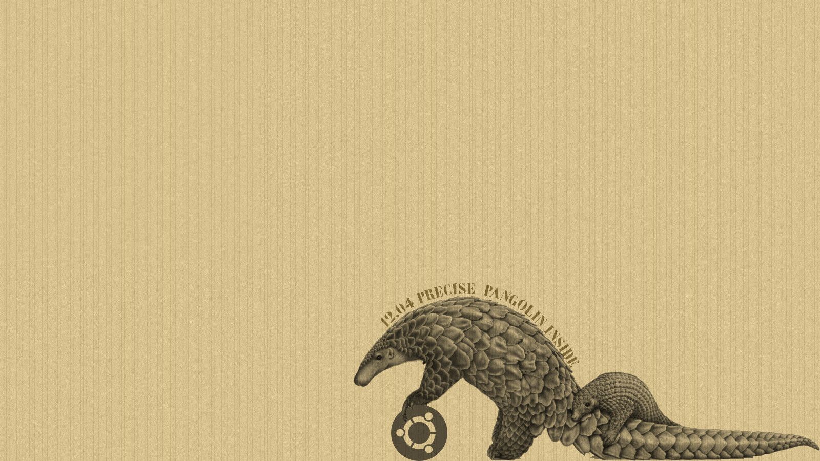Pangolin Wallpapers - Top Free Pangolin Backgrounds - WallpaperAccess