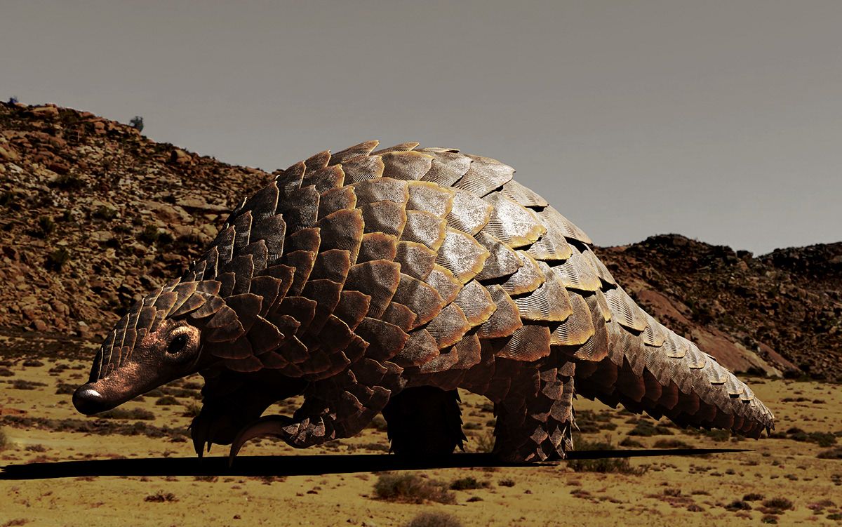 Pangolin Wallpapers - Top Free Pangolin Backgrounds - WallpaperAccess
