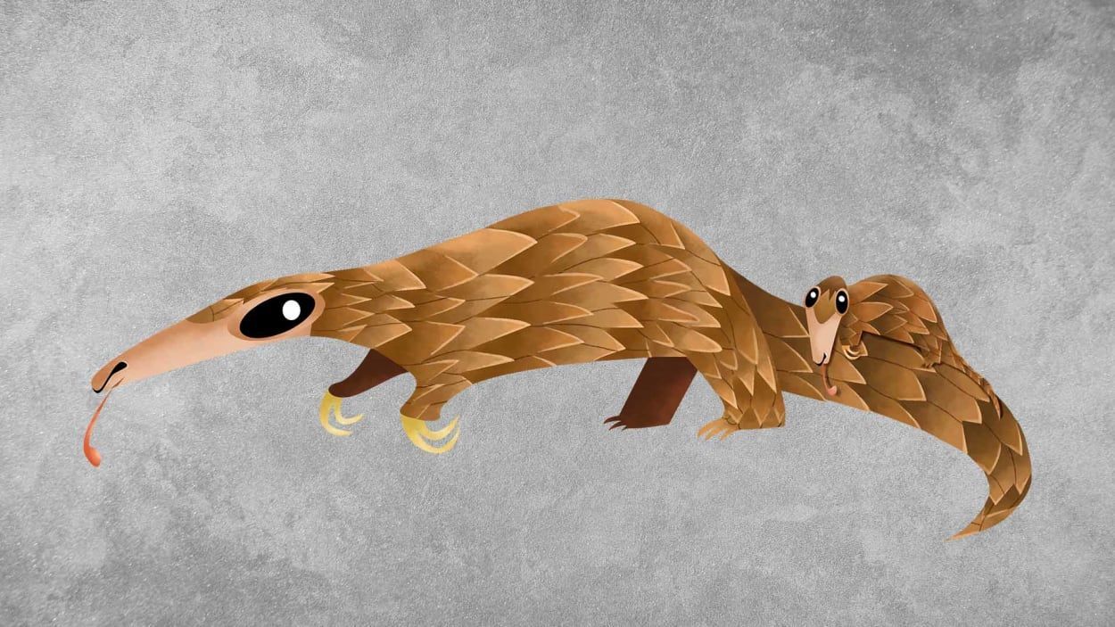 Pangolin Wallpapers - Top Free Pangolin Backgrounds - WallpaperAccess