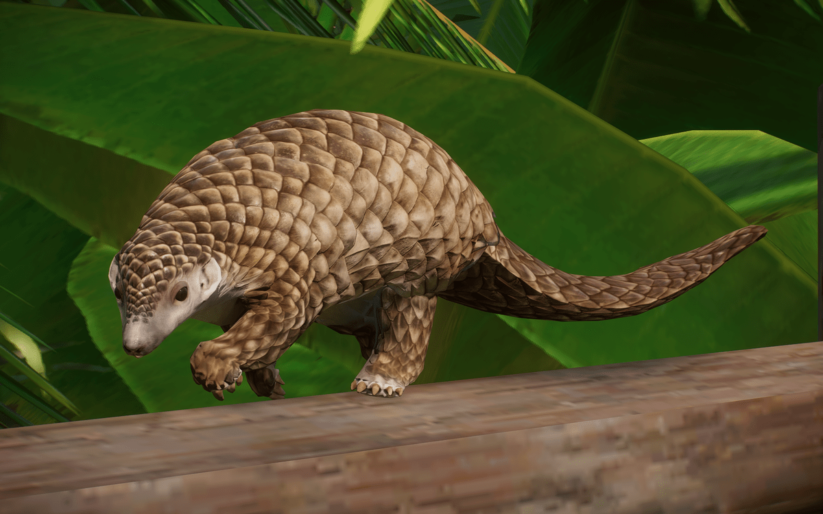 Pangolin Wallpapers - Top Free Pangolin Backgrounds - WallpaperAccess