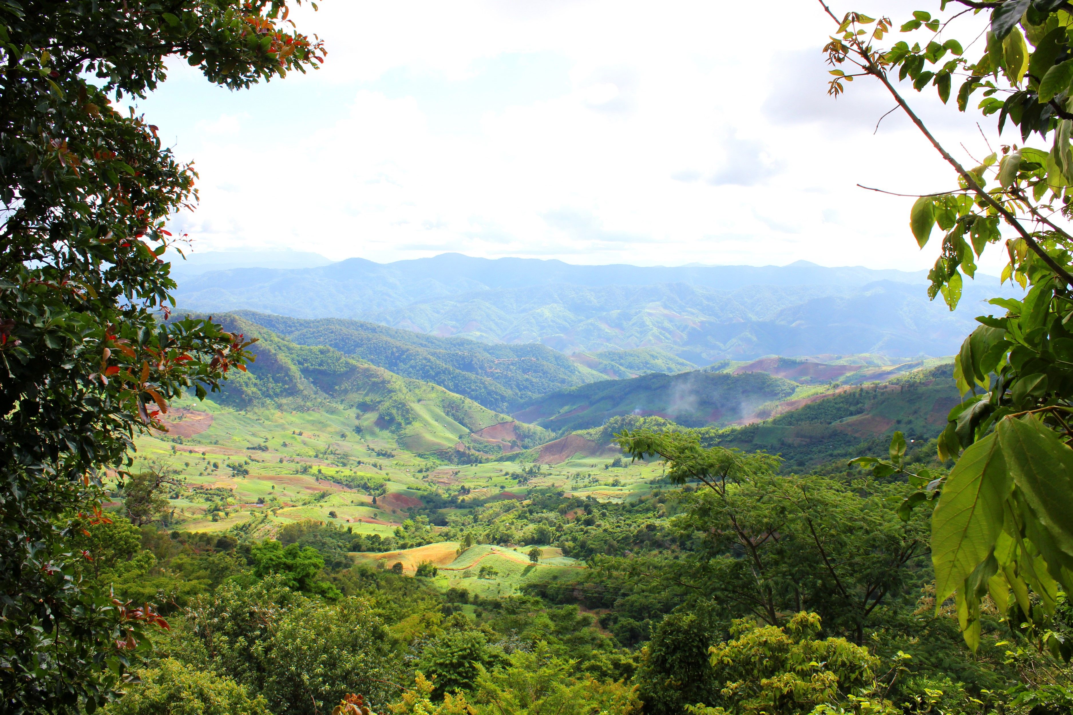 Sumatra Wallpapers - Top Free Sumatra Backgrounds - WallpaperAccess