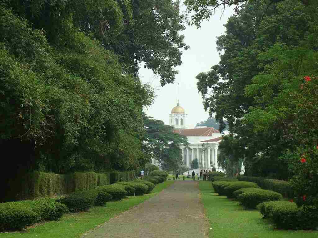 Bogor Wallpapers - Top Free Bogor Backgrounds - WallpaperAccess