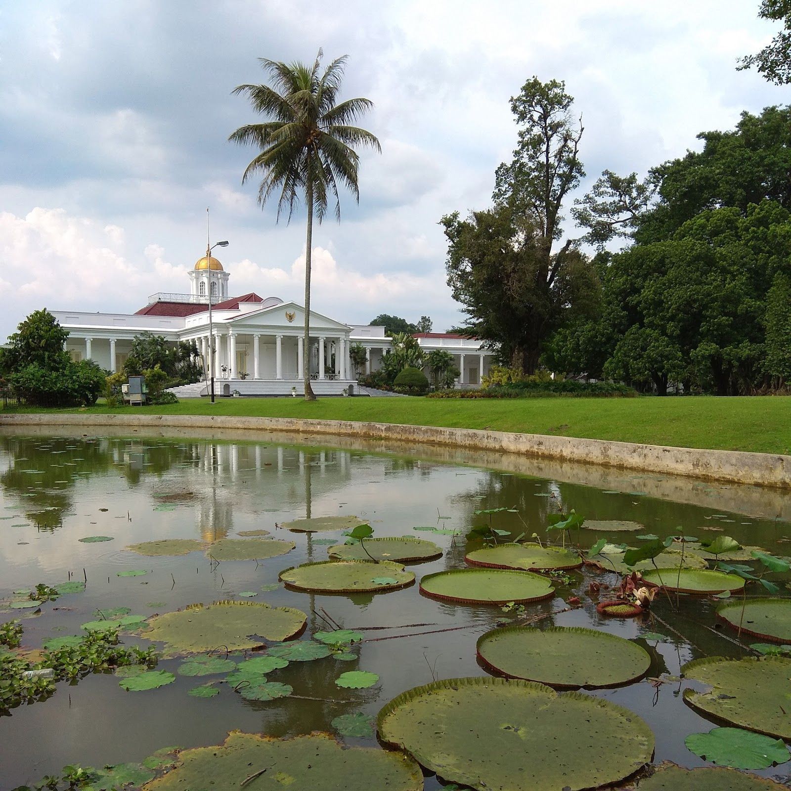 Bogor Wallpapers - Top Free Bogor Backgrounds - WallpaperAccess