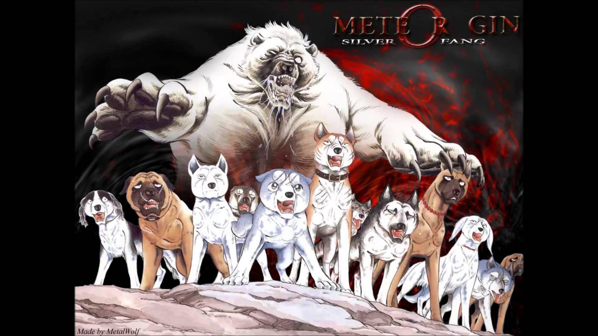 Silver Fang Wallpapers - Top Free Silver Fang Backgrounds - WallpaperAccess