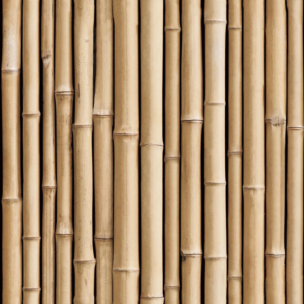Bamboo Stick Wallpapers - Top Free Bamboo Stick Backgrounds ...