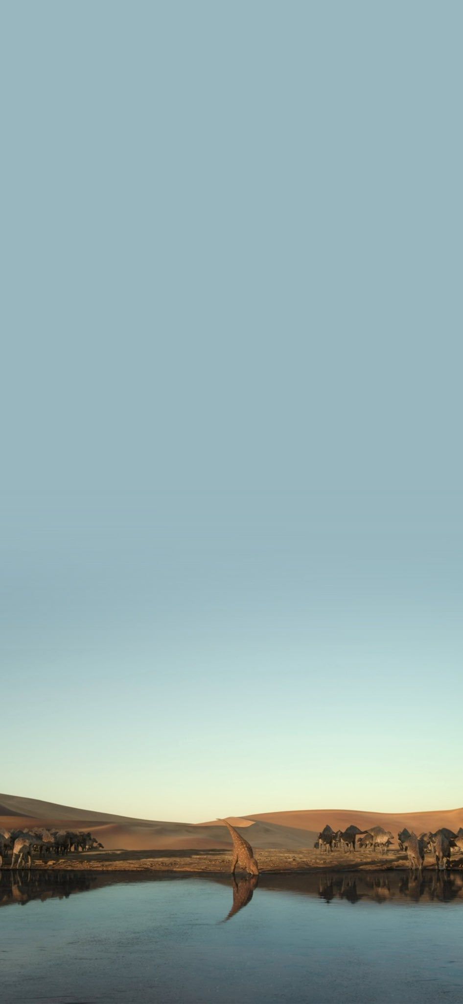 Prehistory Wallpapers - Top Free Prehistory Backgrounds - WallpaperAccess