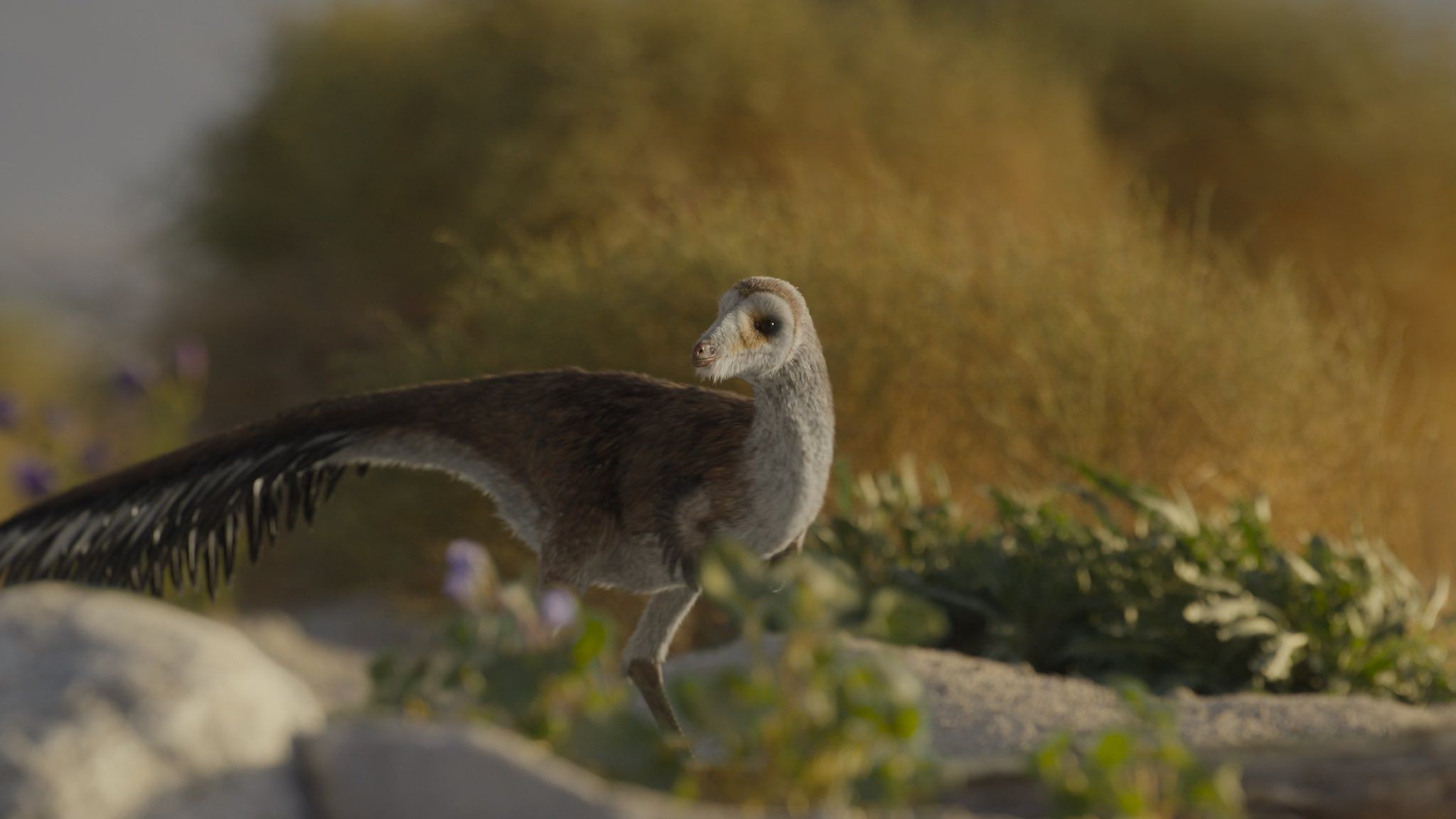 Prehistoric Planet Wallpapers - Top Free Prehistoric Planet Backgrounds - WallpaperAccess