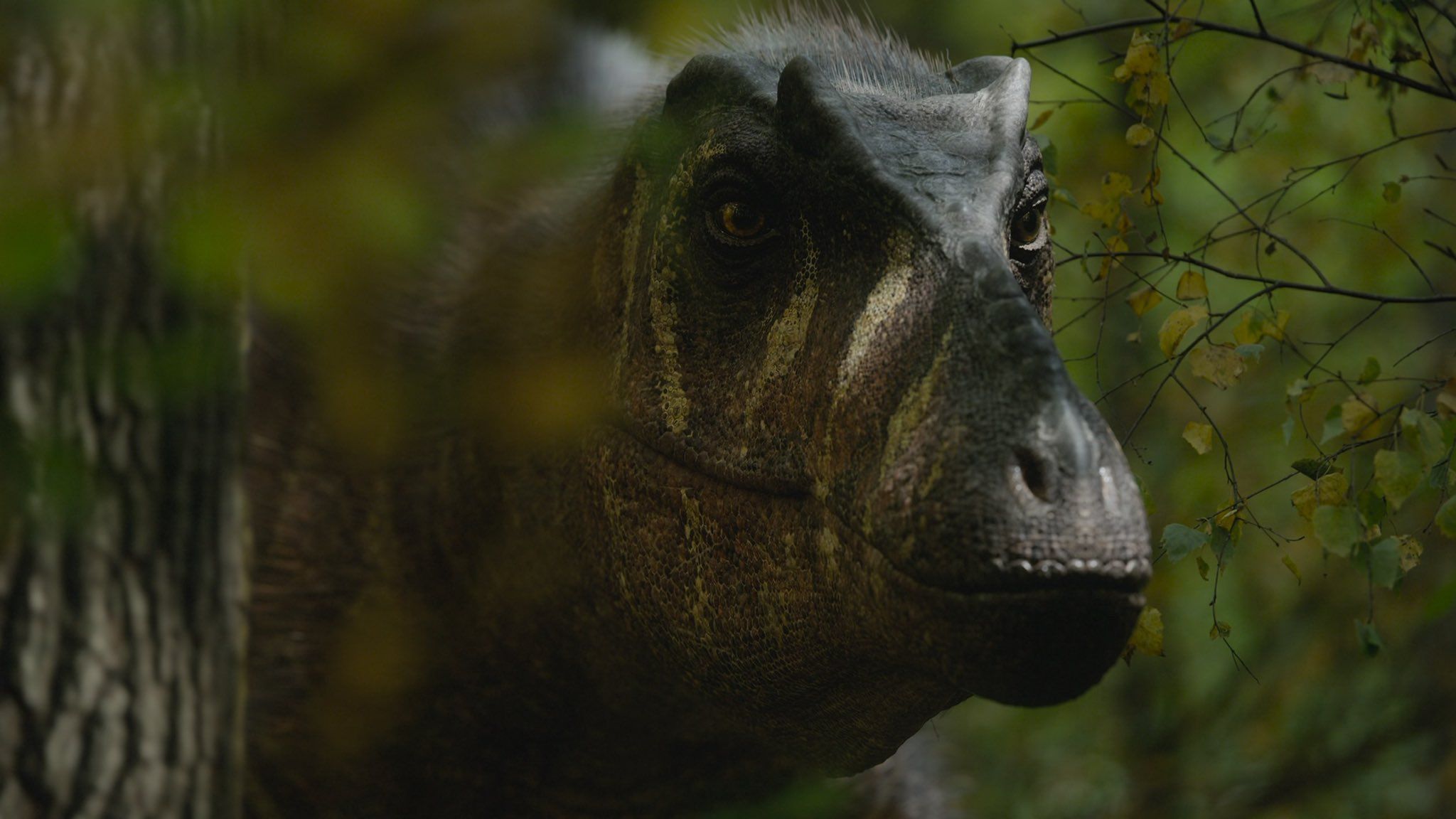 Prehistoric Planet Wallpapers - Top Free Prehistoric Planet Backgrounds - WallpaperAccess