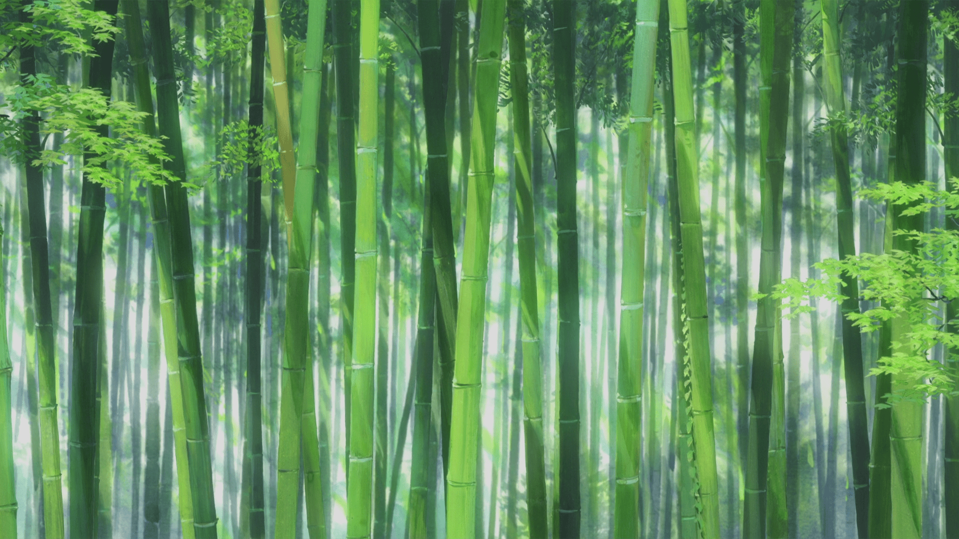 Bakemono No Ko Wallpapers - Top Free Bakemono No Ko Backgrounds ...