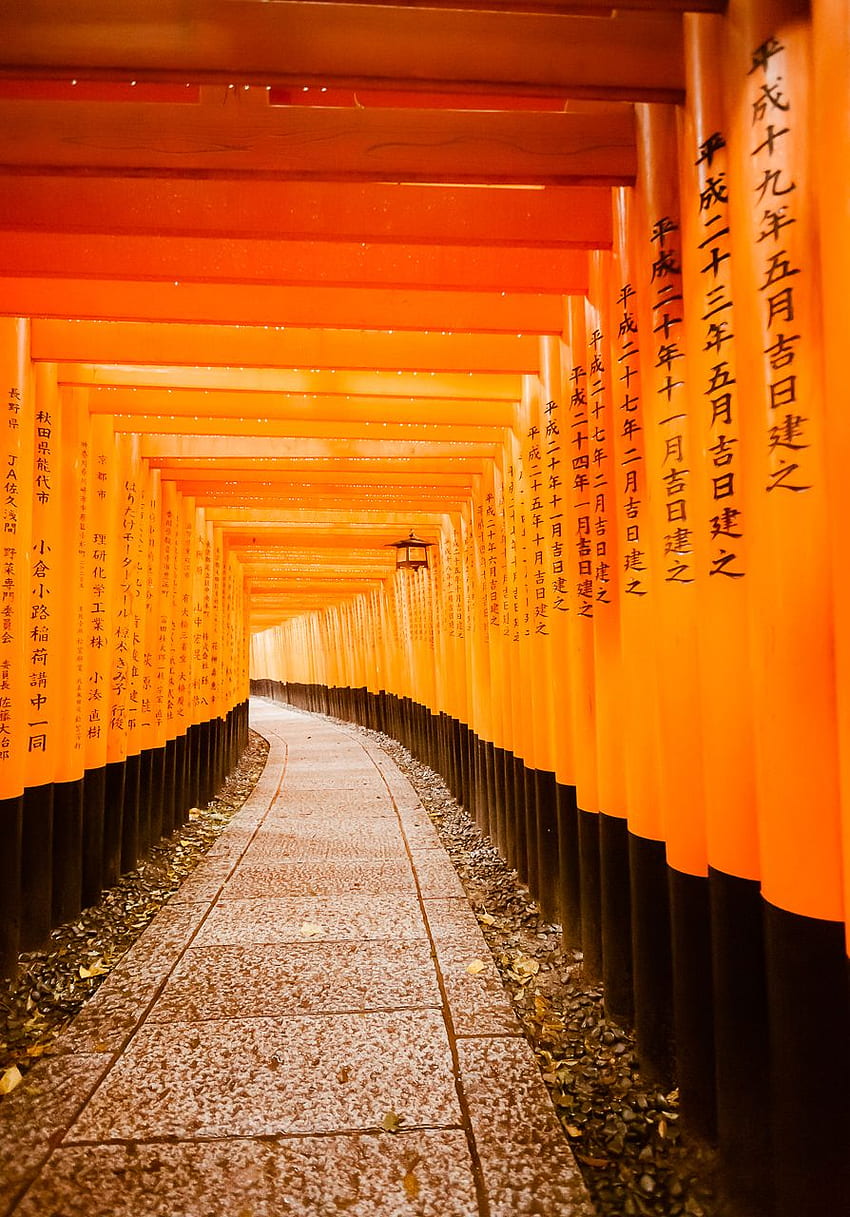 Fushimi-Inari Taisha Wallpapers - Top Free Fushimi-Inari Taisha ...