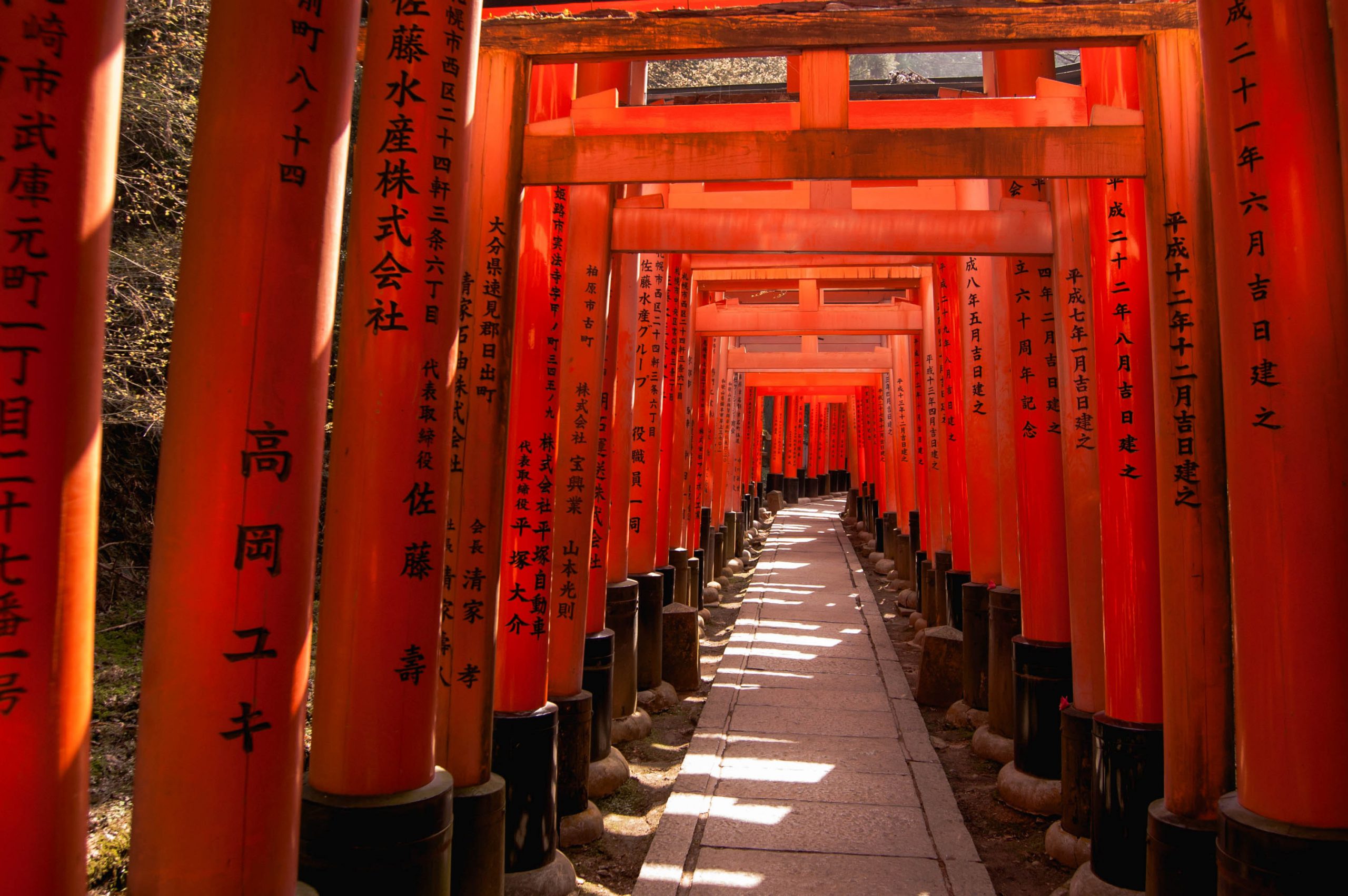 Fushimi-Inari Taisha Wallpapers - Top Free Fushimi-Inari Taisha ...